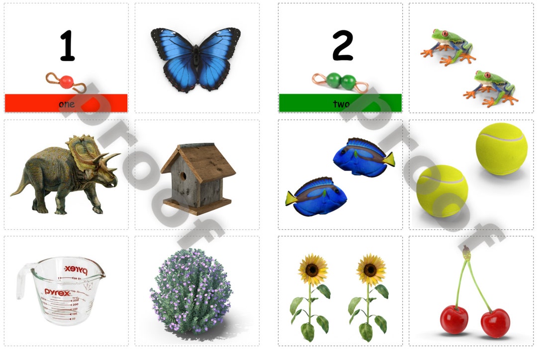 Montessori Math Counting and Sorting PDF File - Etsy