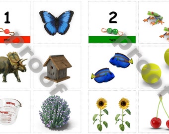 Fruit and Vegetables Safari Toob Montessori 3-part Cards for - Etsy