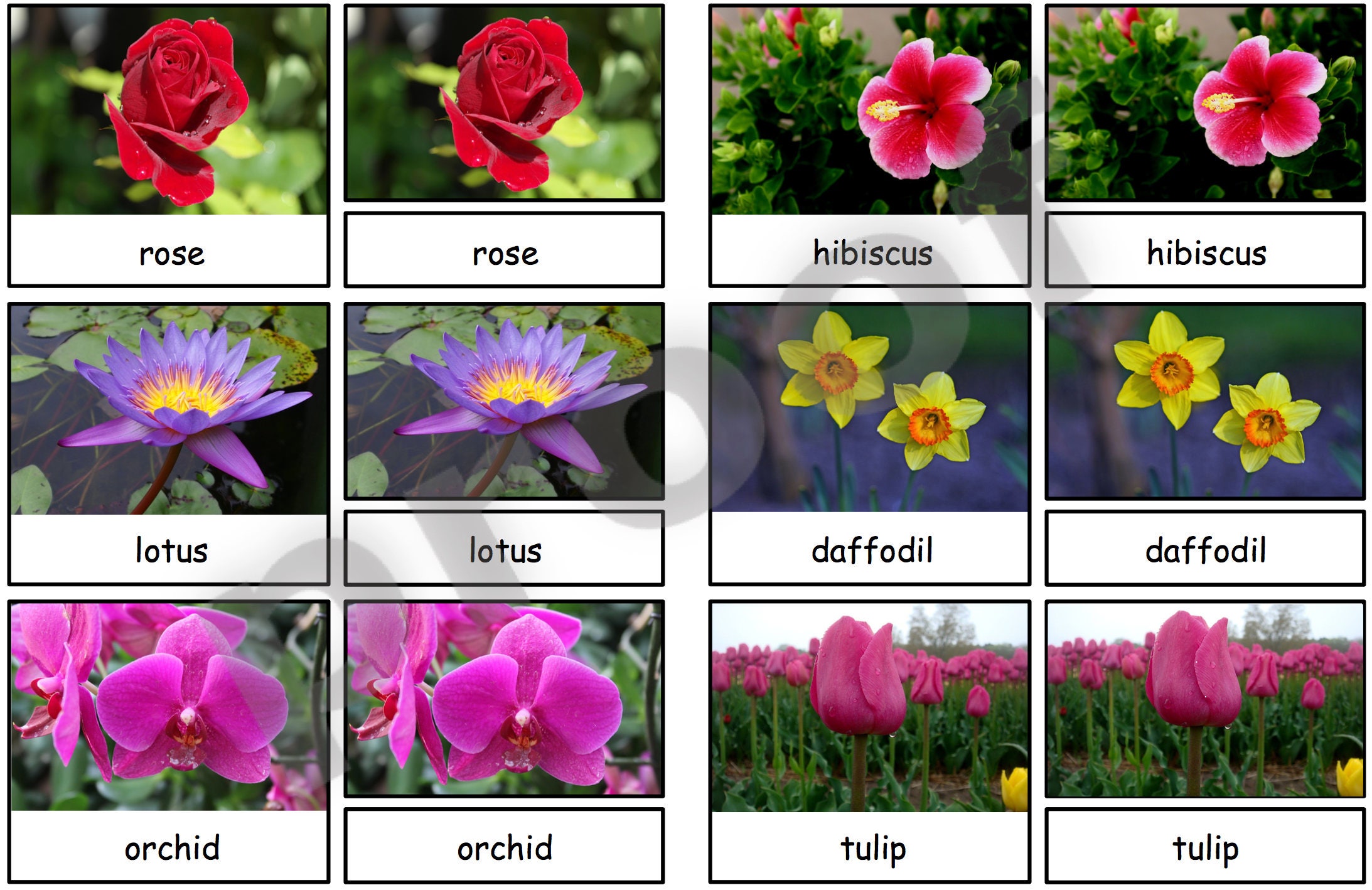 Flowers Safari Toob Montessori 3-part Cards PDF File - Etsy