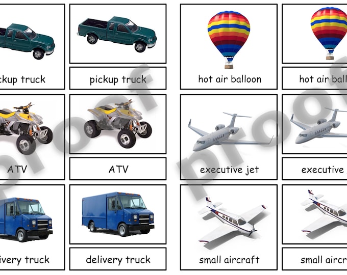 Human Organs Safari Toob Montessori Matching Activitymontessori Early ...