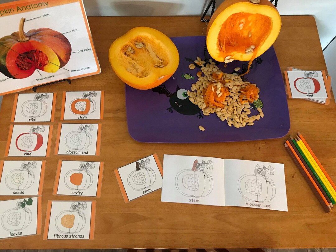 Parts of a Pumpkin PDF Diagram, 3-part Cards and Coloring Booklet ...