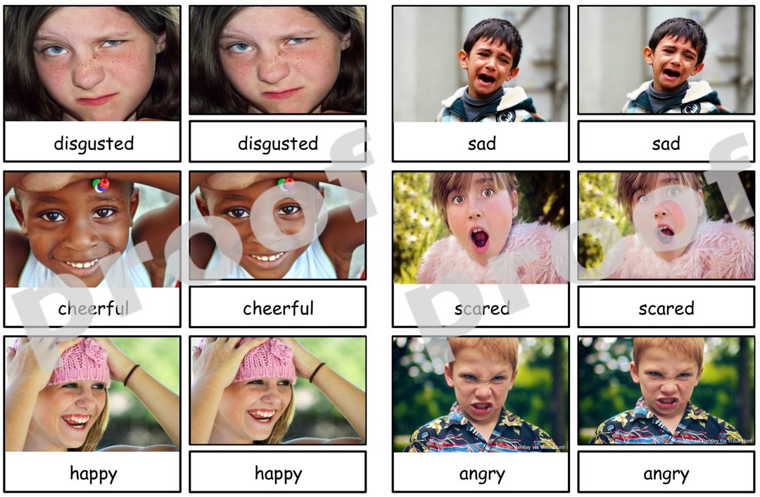 Emotions Montessori 3-part Cards PDF File - Etsy