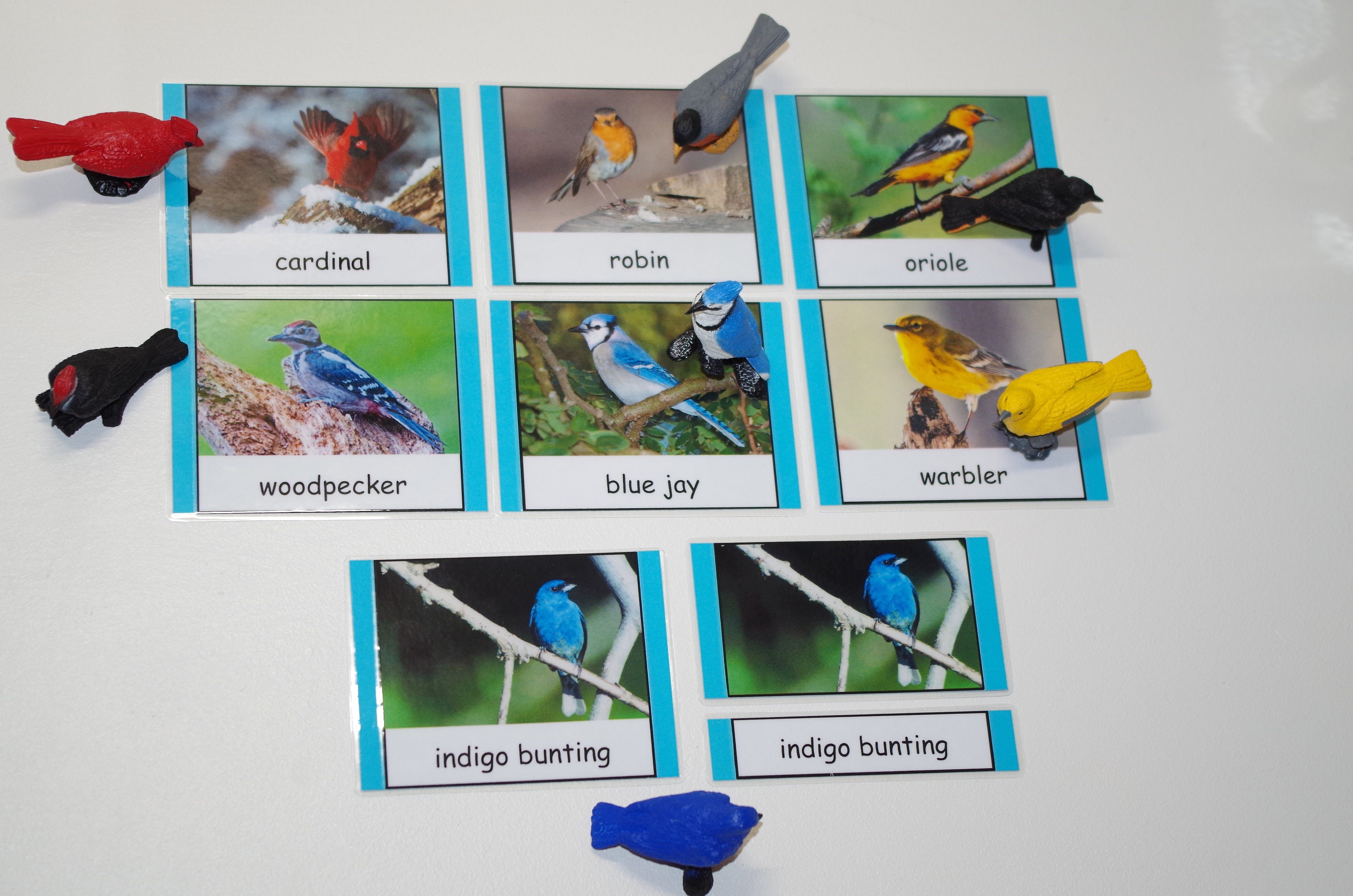 Backyard Birds Safari Toob -- Montessori Matching Activity - Etsy