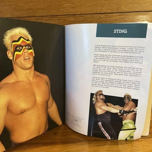 Vintage 1989 Wrestling Heroes & Villains WWF NWA Book Hulk Hogan Ric ...