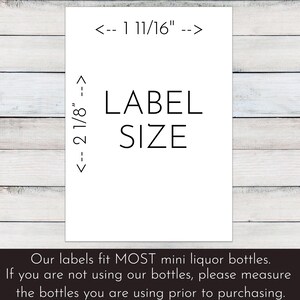 Take a Shot We Tied the Knot Mini Shot Bottles + Nip Labels - Wedding ...