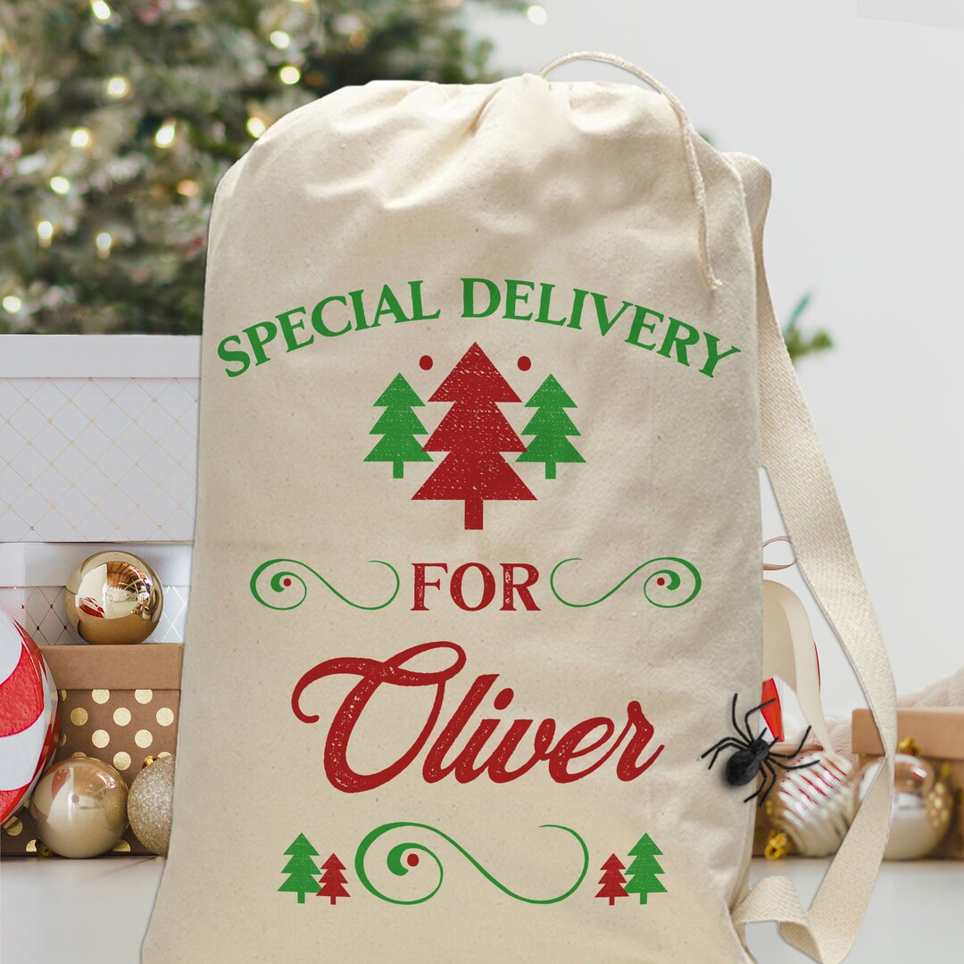 Special Delivery Bag From Santa Large Christmas Gift Bag - Etsy