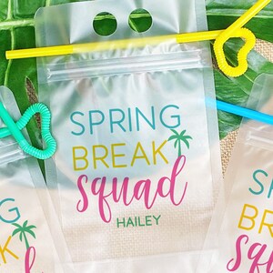 Spring Break Party Favors - Spring Break Drink Pouches - Girls Trip ...