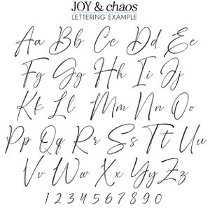 Take a Shot We Tied the Knot Mini Shot Bottles + Nip Labels - Wedding ...