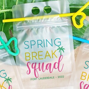 Spring Break Party Favors - Spring Break Drink Pouches - Girls Trip ...