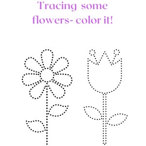 25 Tracing and Line Worksheets, Tracing Practice, Animal Tracing Pages ...