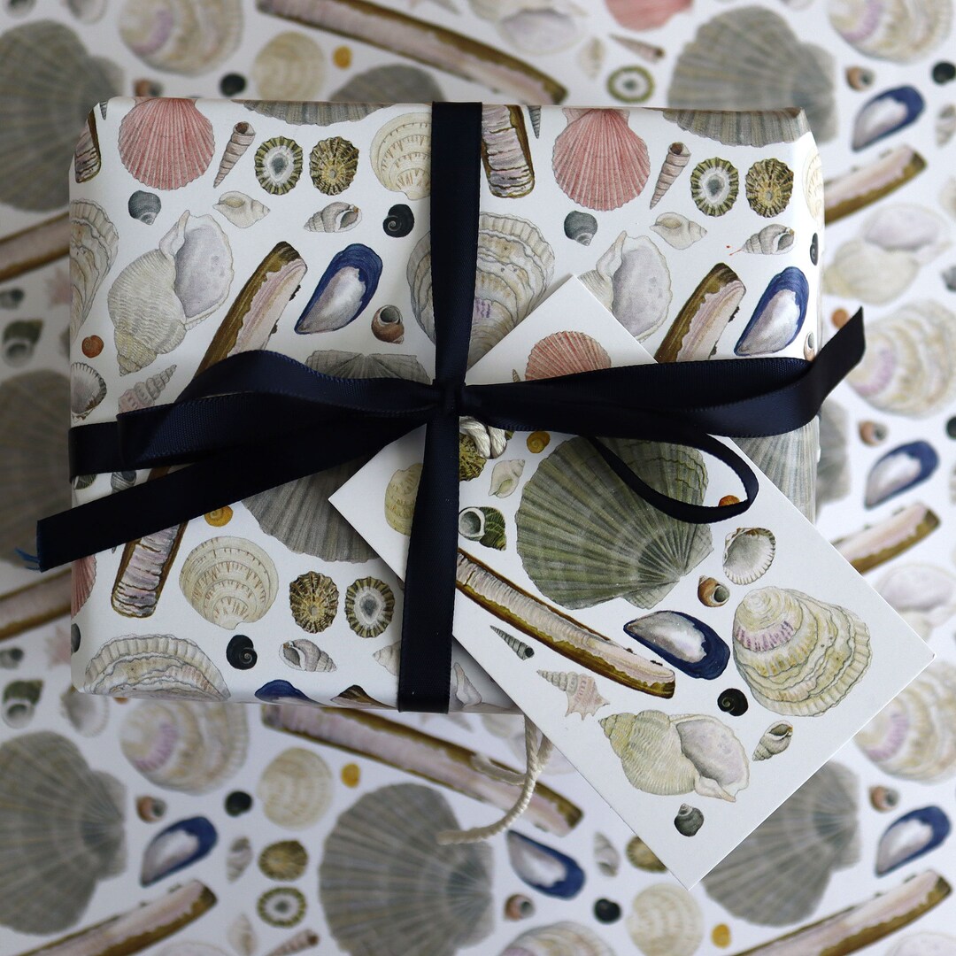 Seashells Wrapping Paper, Beachcombing, Seashore, Shells, Beach Gift ...