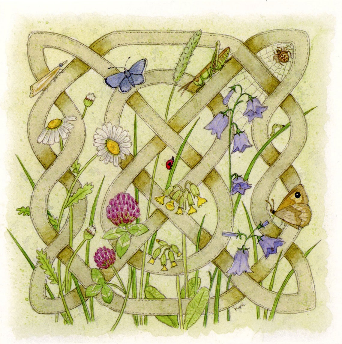 Celtic Knot Card, Celtic Flora, Meadow Wild Flowers With Insects Square ...
