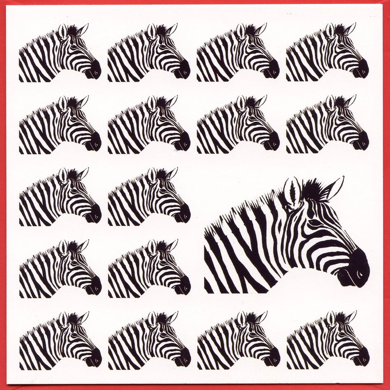 Zebra Card Zebras Blank Square Greetings Card Safari - Etsy UK