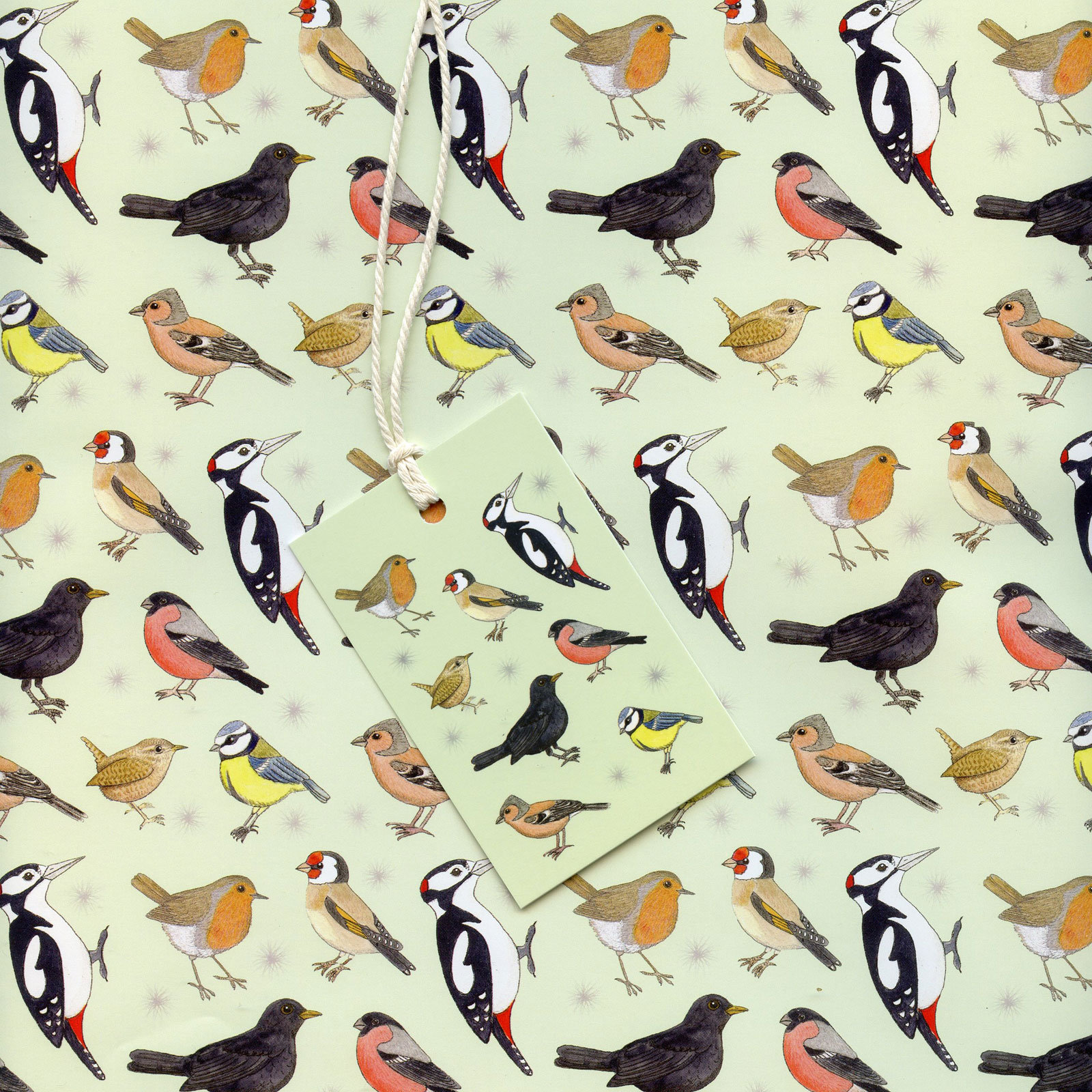 British Garden Birds Wrapping Paper Bird Bluetit Robin Wren - Etsy UK