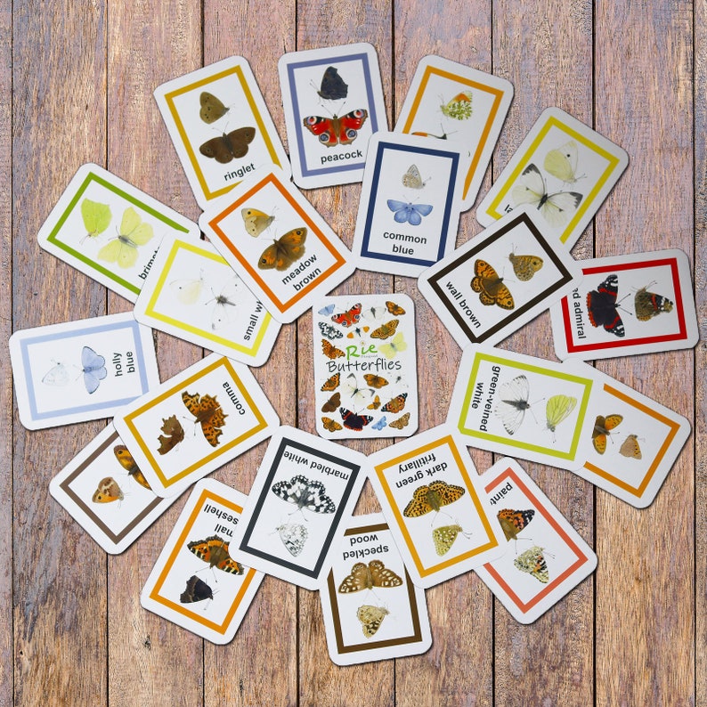 British Nature Flash Cards Childrens Identification Cards - Etsy UK