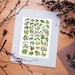 British Tree Leaves Wildlife A3 Poster Art Print, Nature Identification ...