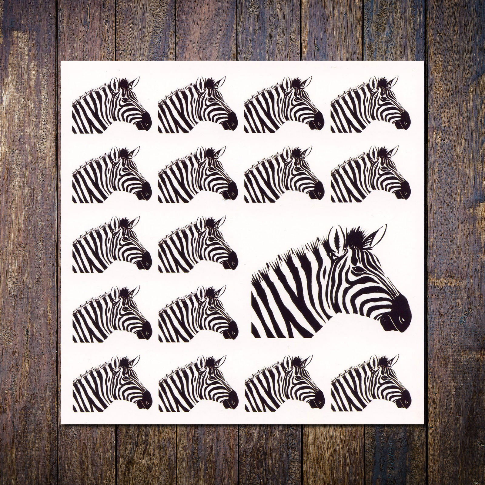 Zebra Card Zebras Blank Square Greetings Card Safari | Etsy