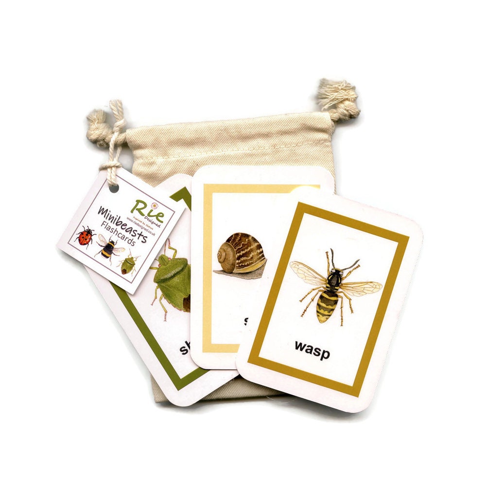 Garden Minibeasts Flash Cards, Pack 20 Childrens Insect Identification ...