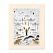 British Pond & Stream A4 Identification Chart, Wildlife Card, Insects ...