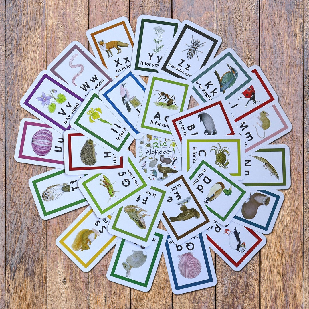 ABC Alphabet Flash Cards, 20 Childrens Wildlife Identification Cards ...