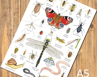 British Garden Butterflies A5 Art Print Insects Card Bugs | Etsy