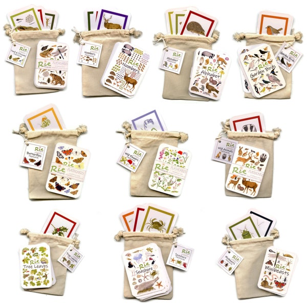 Animal Flash Card - Etsy UK