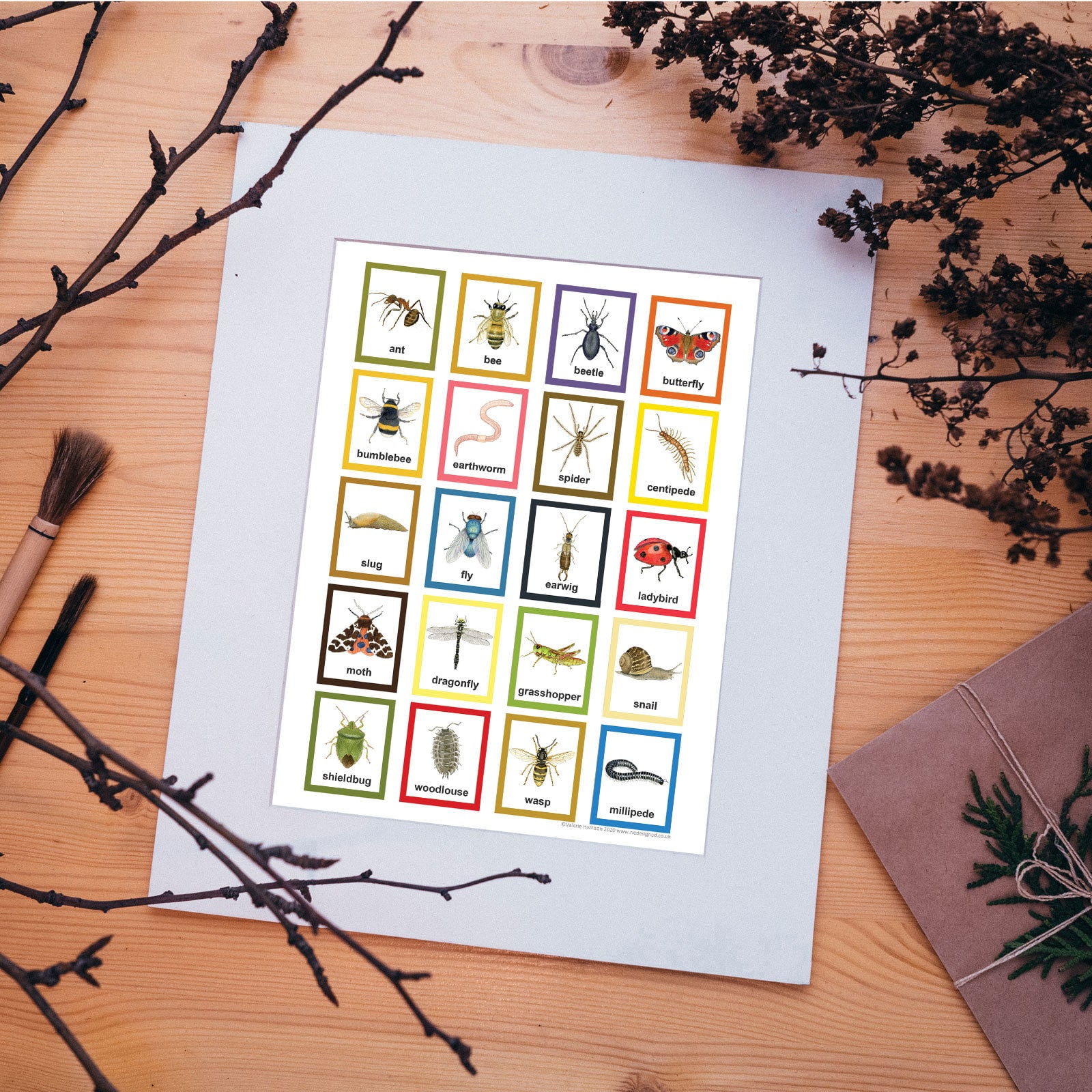 Garden Minibeasts A3 Identification Poster, Childrens Insect Chart ...
