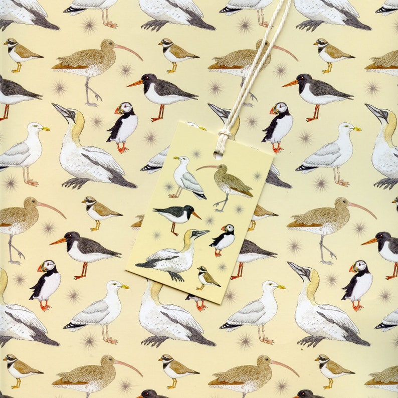 British Seabirds Wrapping Paper Bird Seagull Gannet Curlew - Etsy