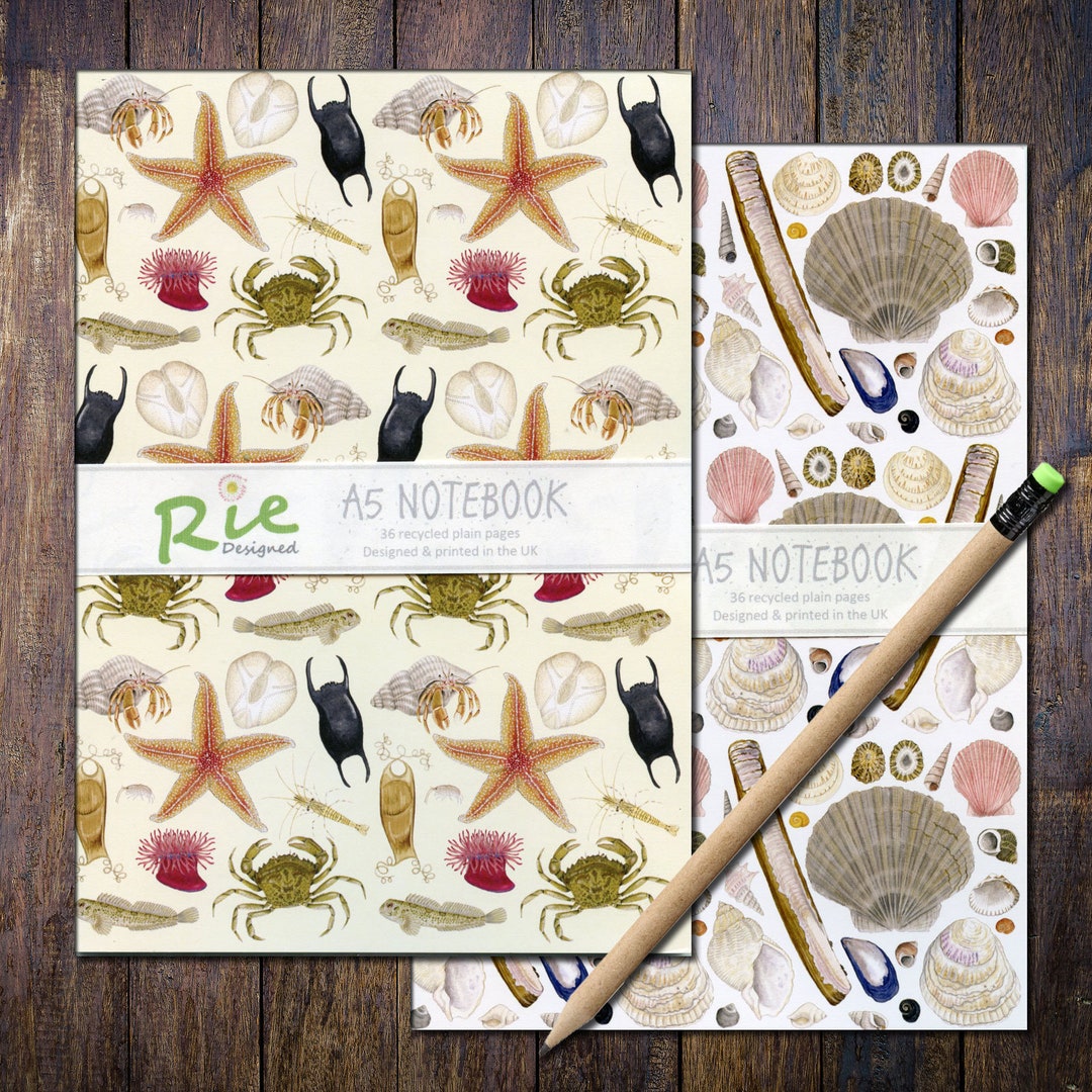 Seashells & Seashore Notebooks, A5 Recycled Plain Paper Nature Notebook ...