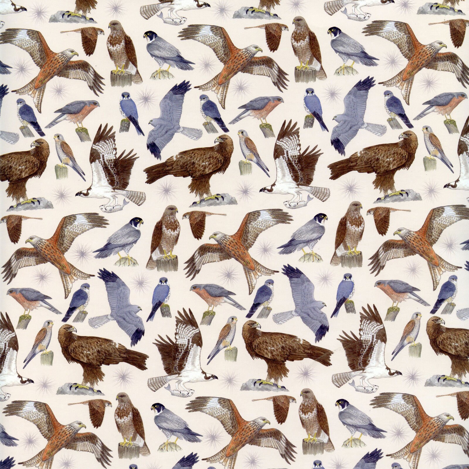 British Bird of Prey Wrapping Paper, Hen Harrier, Eagle, Osprey, Red ...
