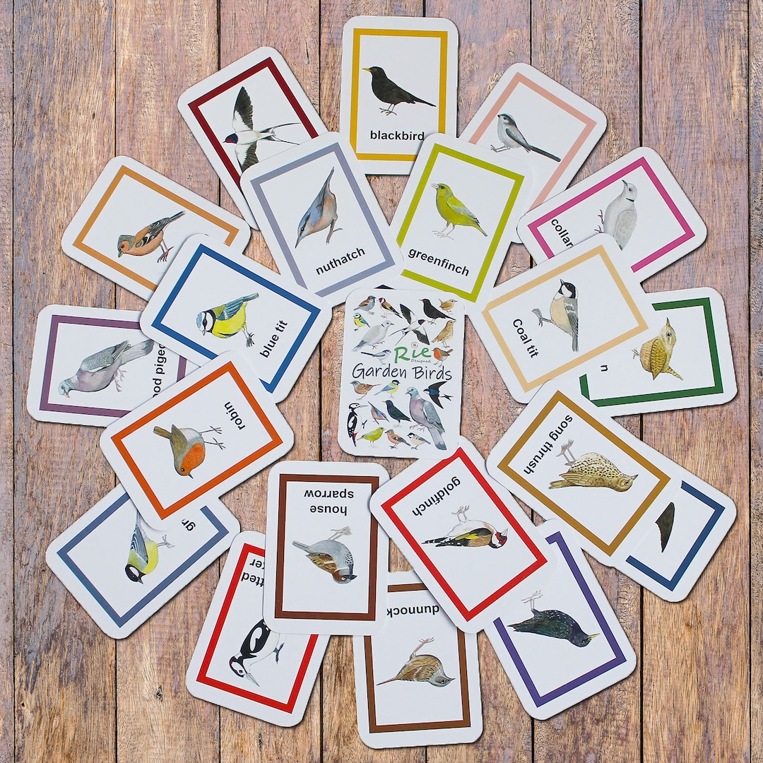Garden Birds Flash Cards, 20 Childrens Wildlife Identification Cards ...