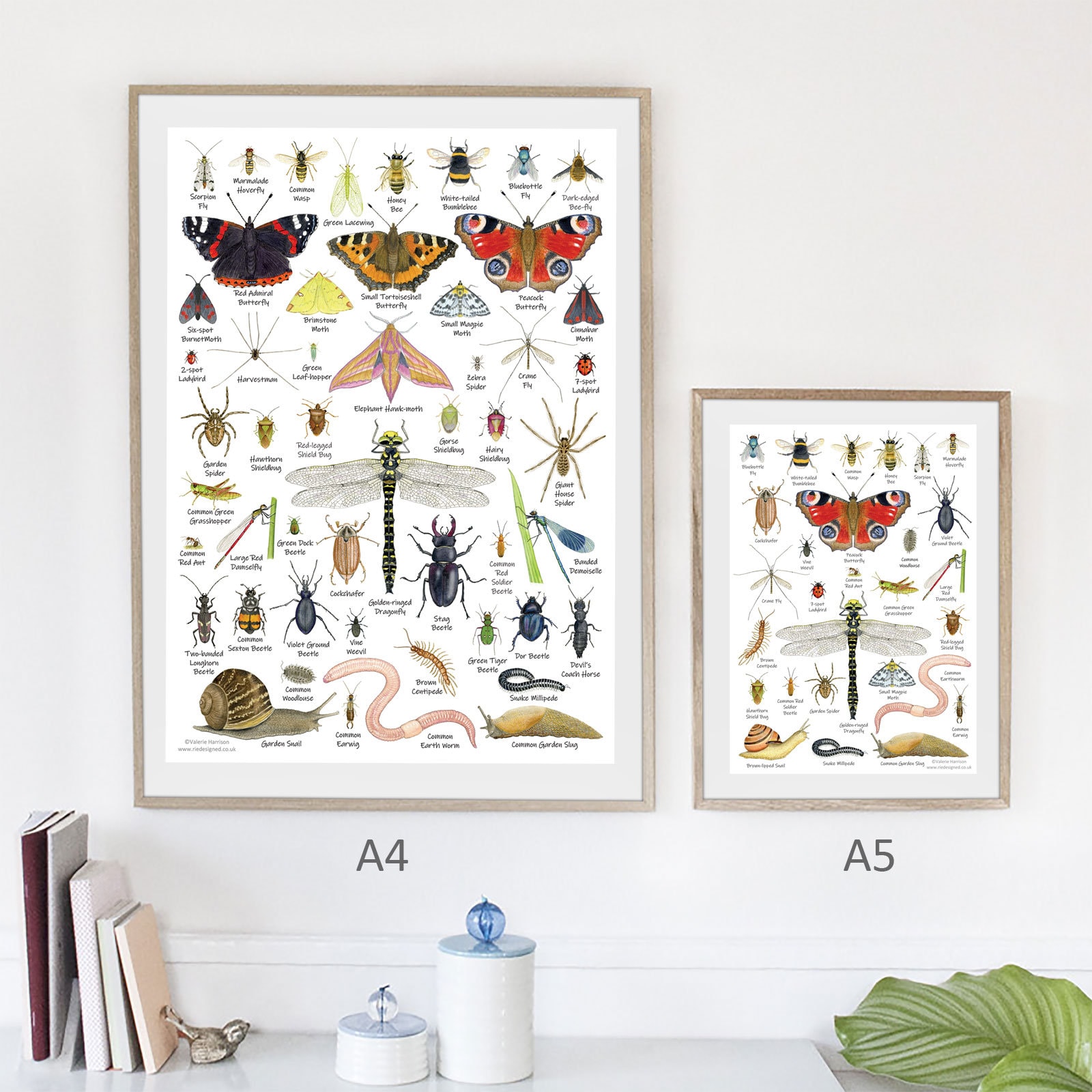 British Invertebrates A3 Identification Poster, Insect Chart, Bugs Art ...