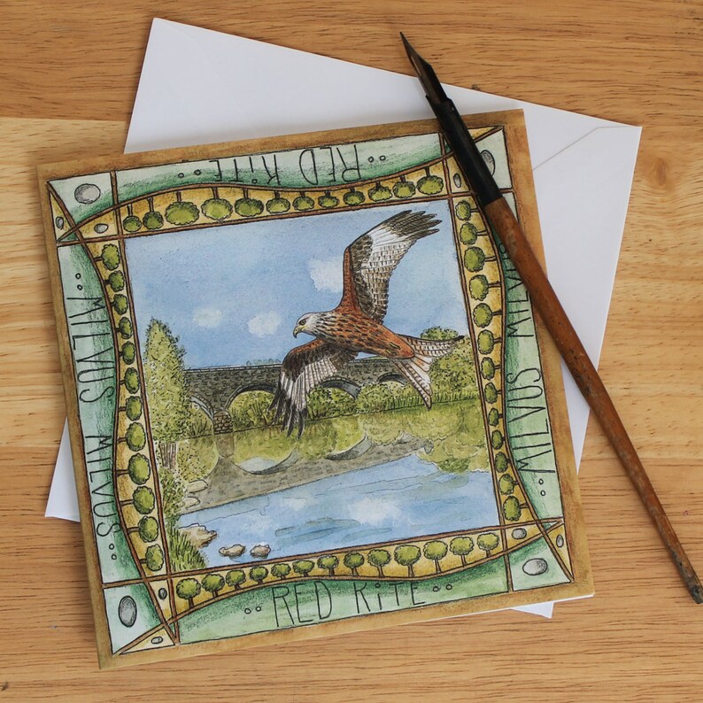 Red Kite Card, Blank Square Greetings Card Featuring Bird of Prey at ...