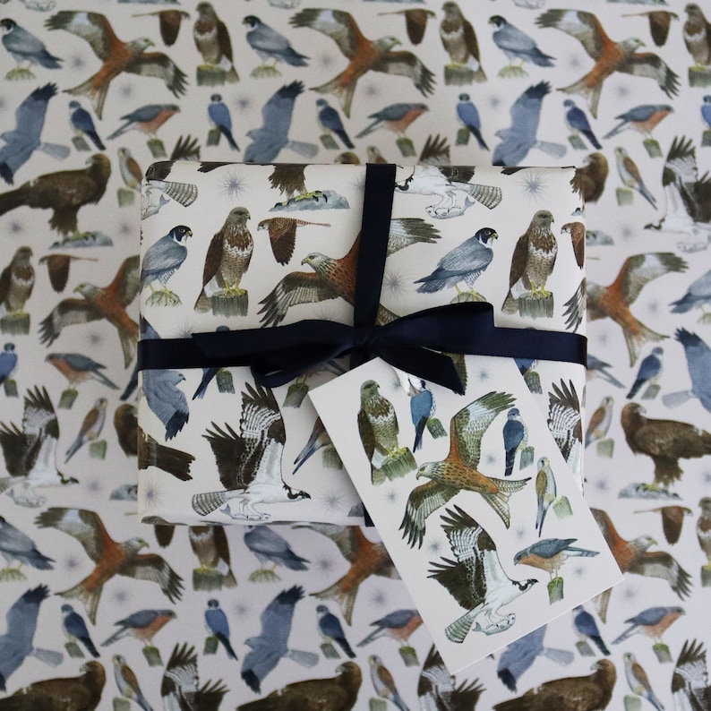 British Bird of Prey Wrapping Paper, Hen Harrier, Eagle, Osprey, Red ...
