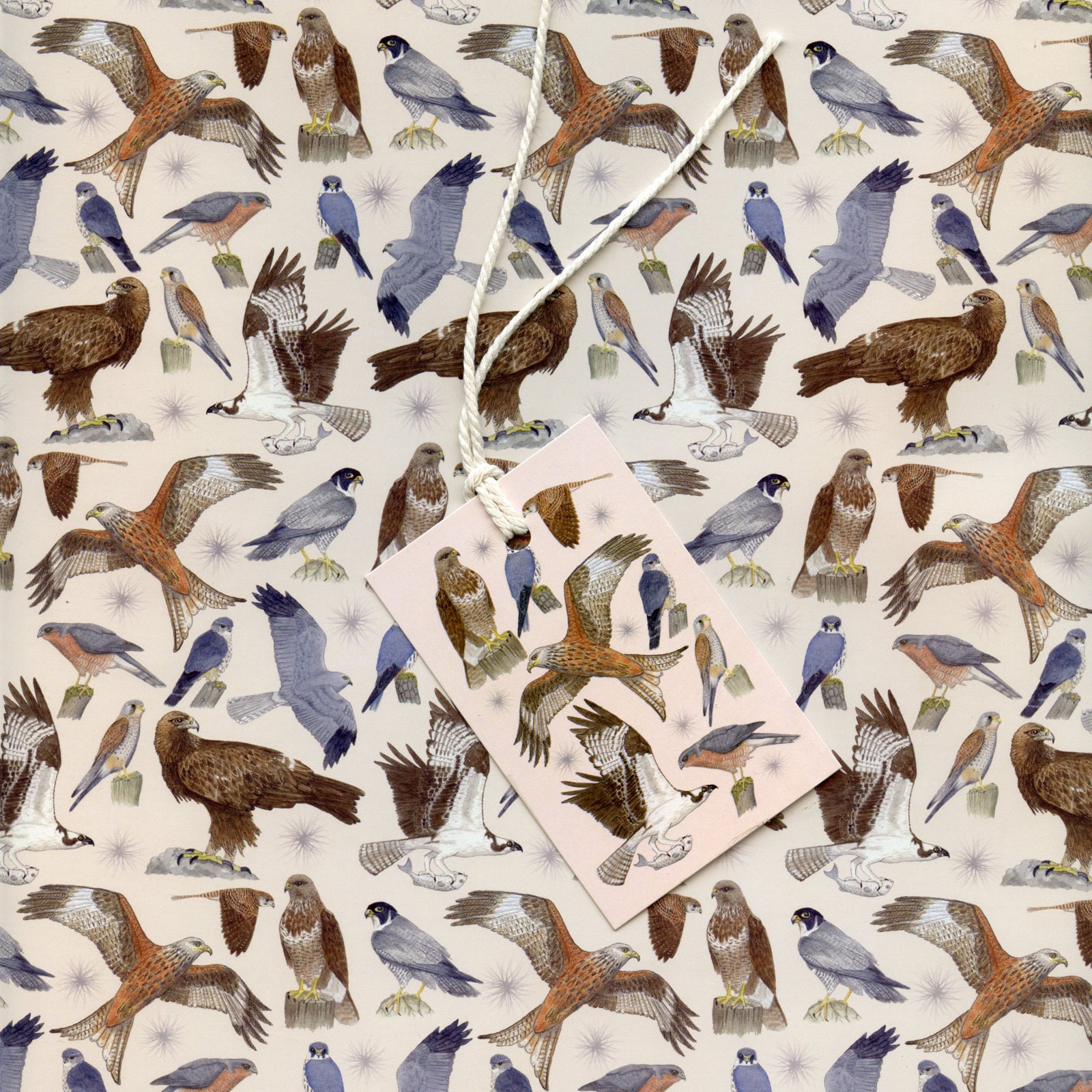 British Bird of Prey Wrapping Paper, Hen Harrier, Eagle, Osprey, Red ...