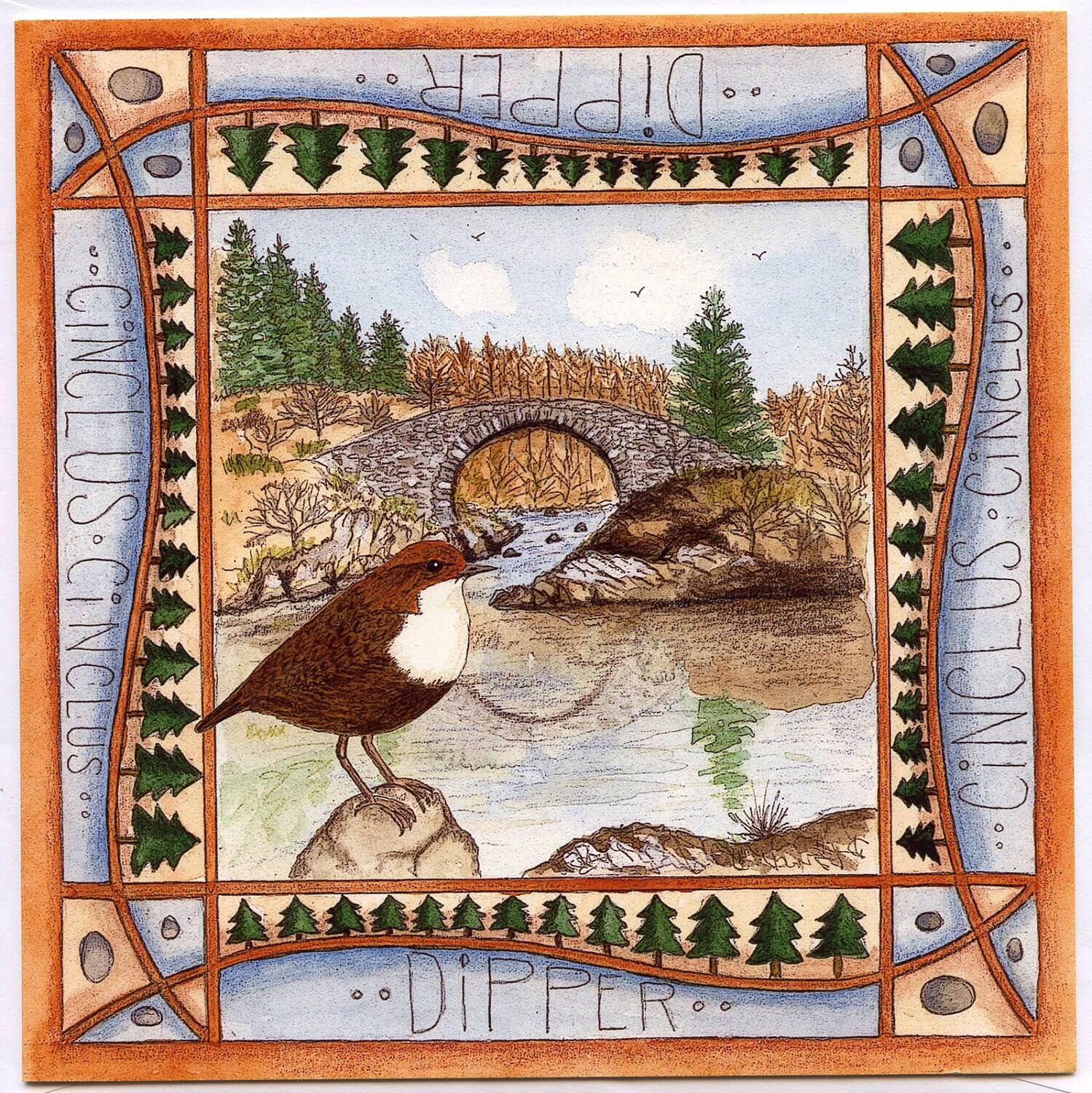 Dipper Card, Blank Square Greetings Card Featuring Bird at the Roman ...