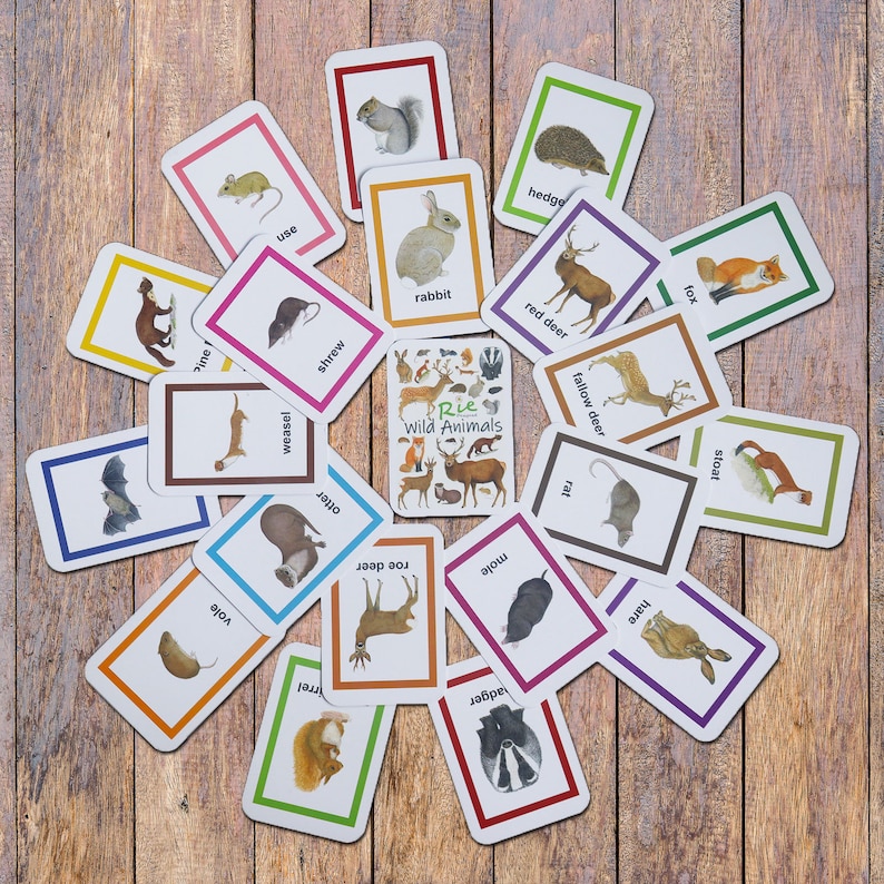 British Nature Flash Cards Childrens Identification Cards - Etsy UK