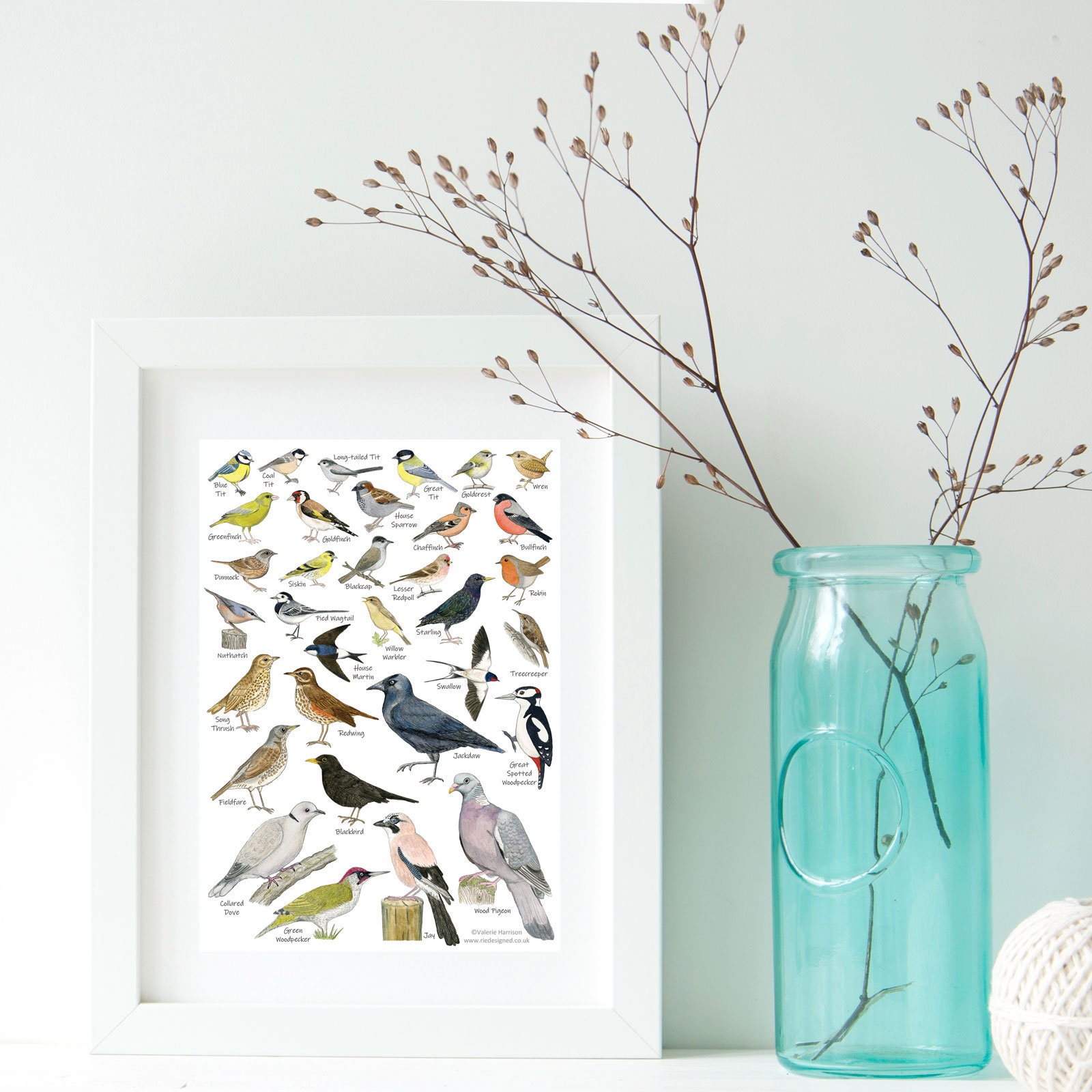 British Garden Birds A5 Identification Chart, Wildlife Card, Postcard ...