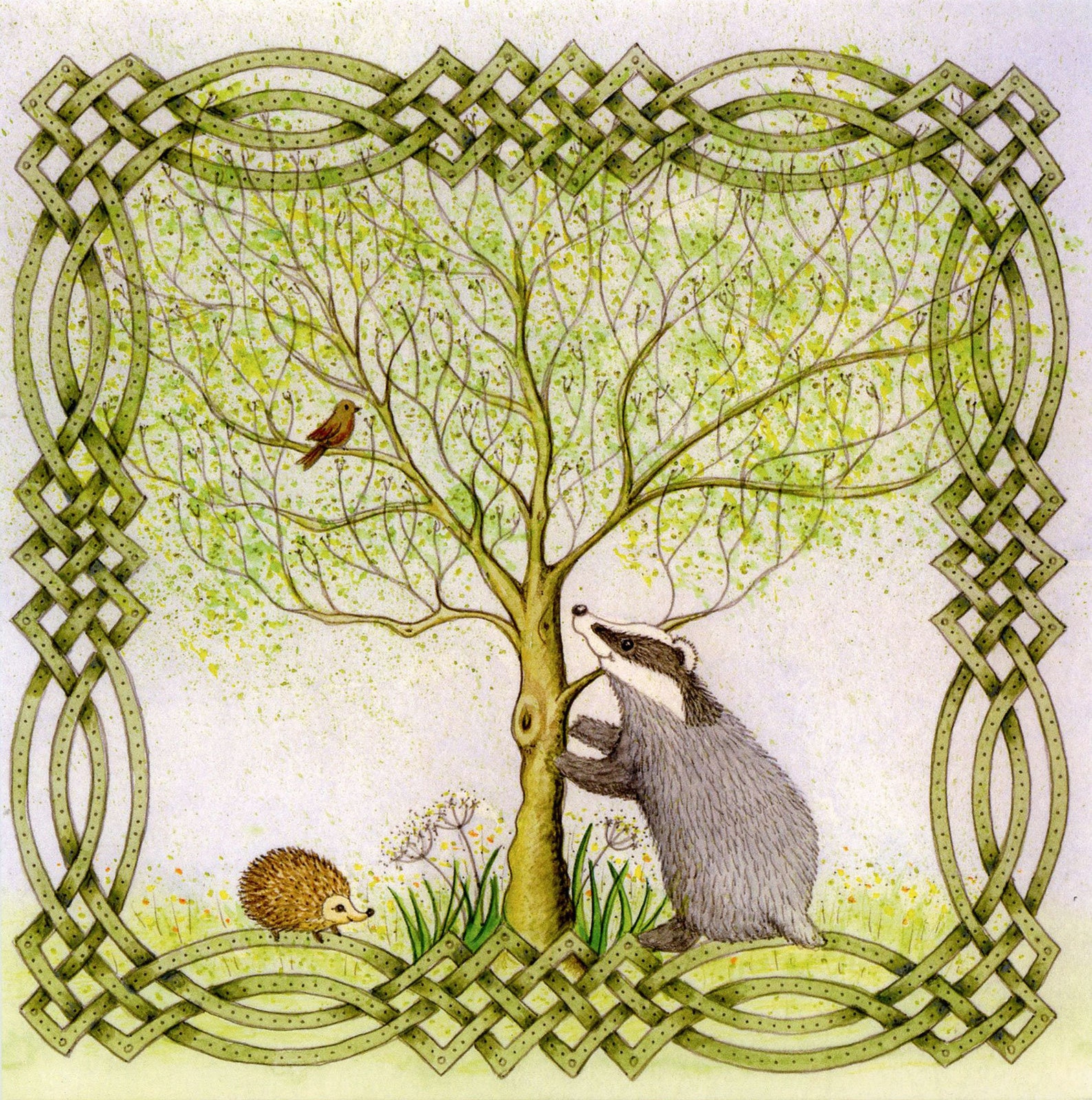 Celtic Badger Square Blank Greetings Card Nature Wildlife - Etsy UK