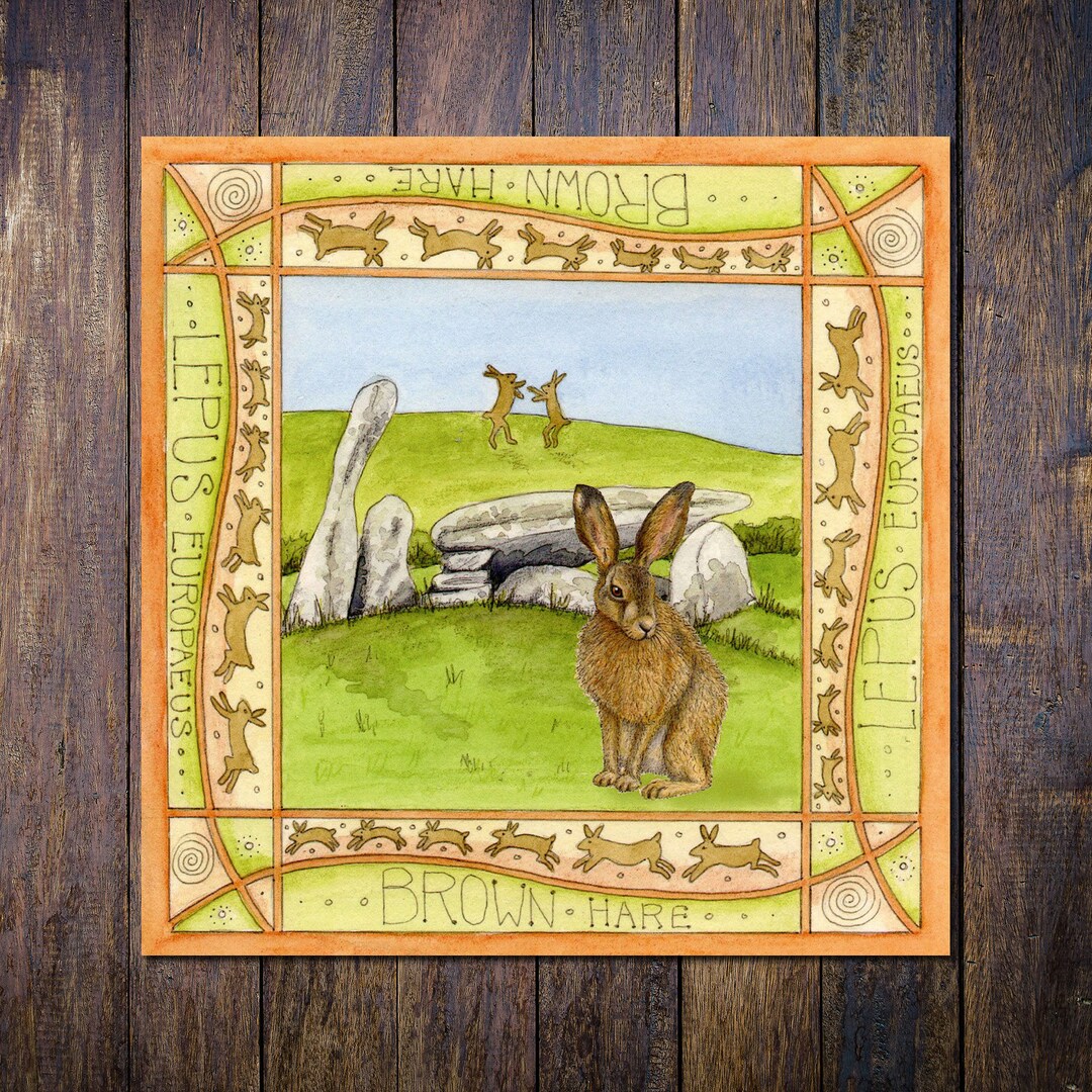 Hare Cairn Holy Card, Brown Hare Greetings Card, Scottish Blank Square ...
