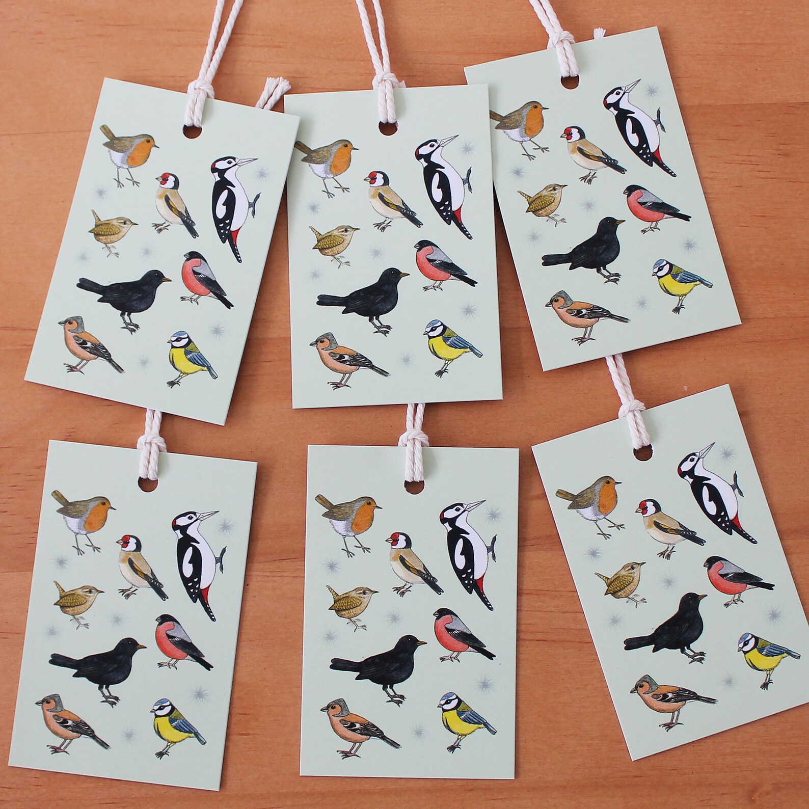 British Garden Birds Wrapping Paper Bird Bluetit Robin Wren Blackbird ...