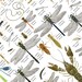 British Pond & Stream A3 Identification Poster, Insect Chart, Bugs Art ...
