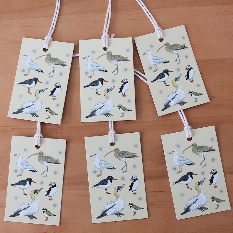 British Seabirds Wrapping Paper Bird Seagull Gannet Curlew - Etsy