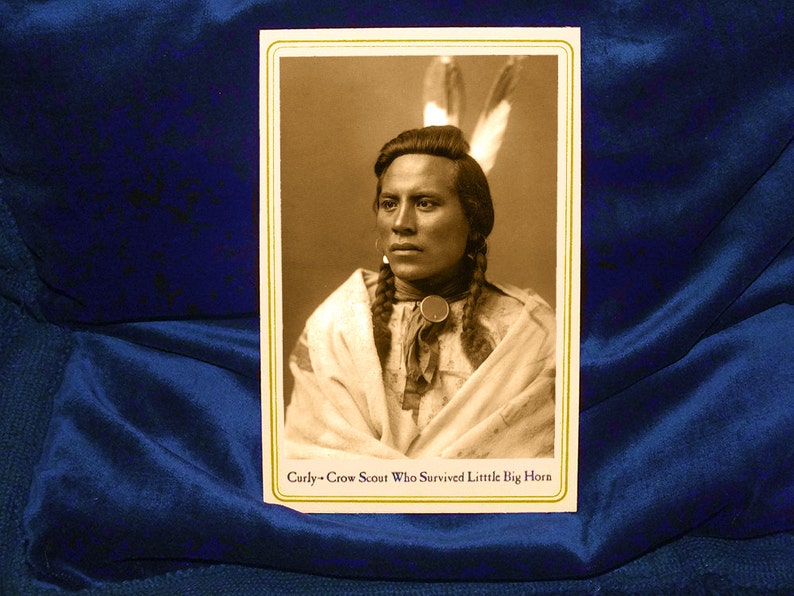 CURLY - CROW SCOUT Survivor of Little Big Horn Native American Cabinet ...