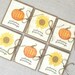 Autumn Hot Cocoa Pockets // Woodland Animal Pumpkins // - Etsy