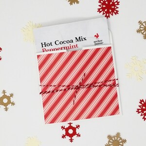 Sloth Hot Cocoa Pockets // Set of 3 // Sloths Pointsettias Candy Can ...