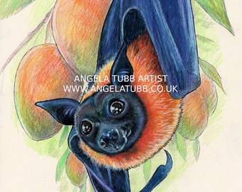 Fruit Bat Mangoes Archival Print - Etsy