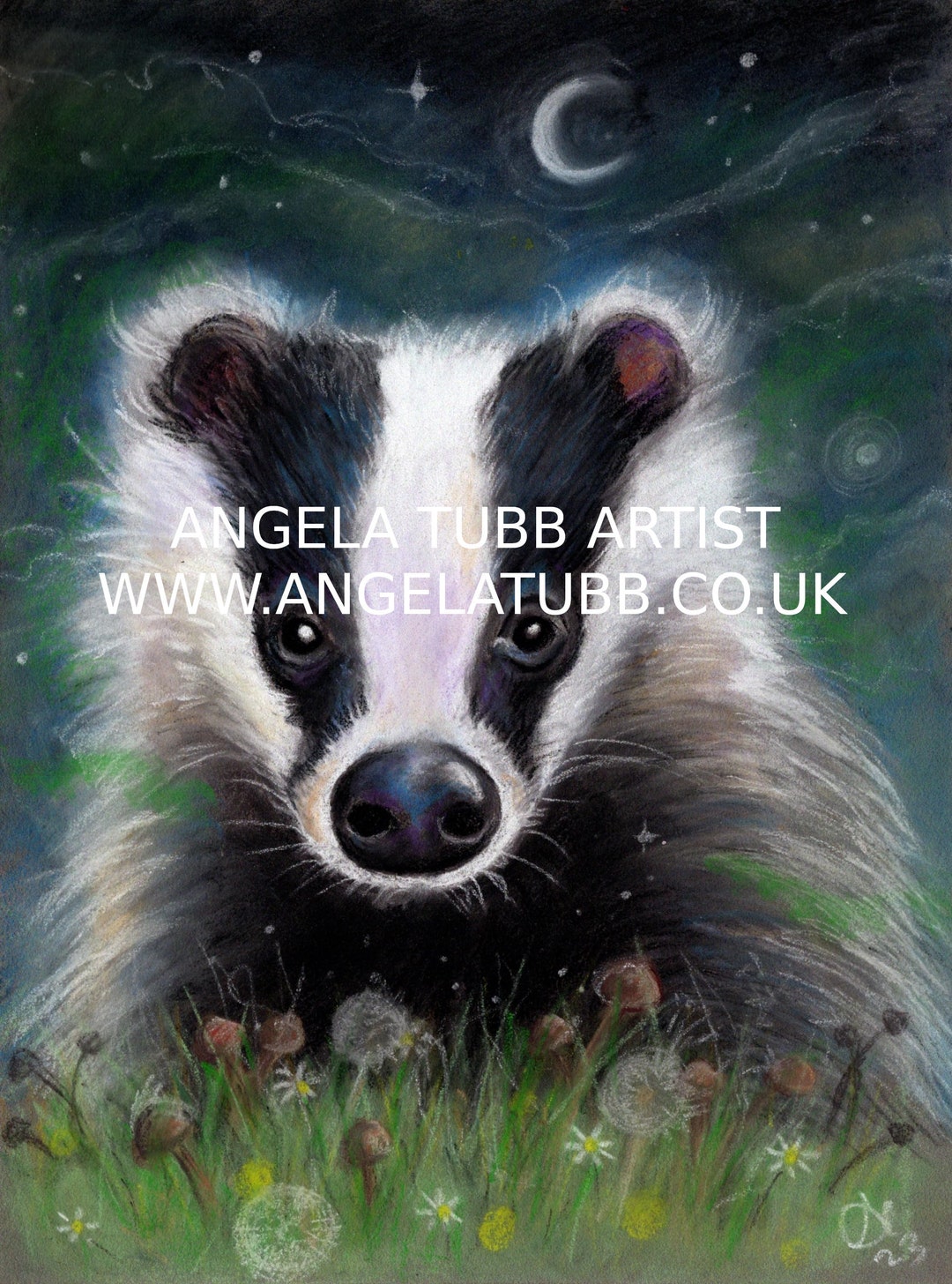 Beautiful Badger Pastel A4 Archival Matt High Quality Print - Etsy