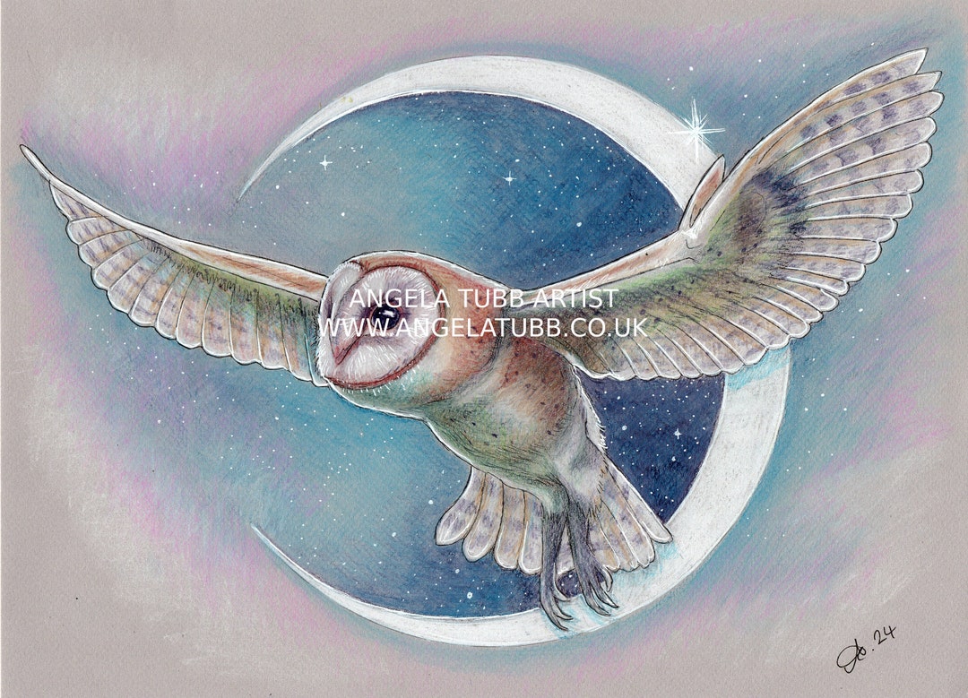 Barn Owl and Moon A4 Print - Etsy