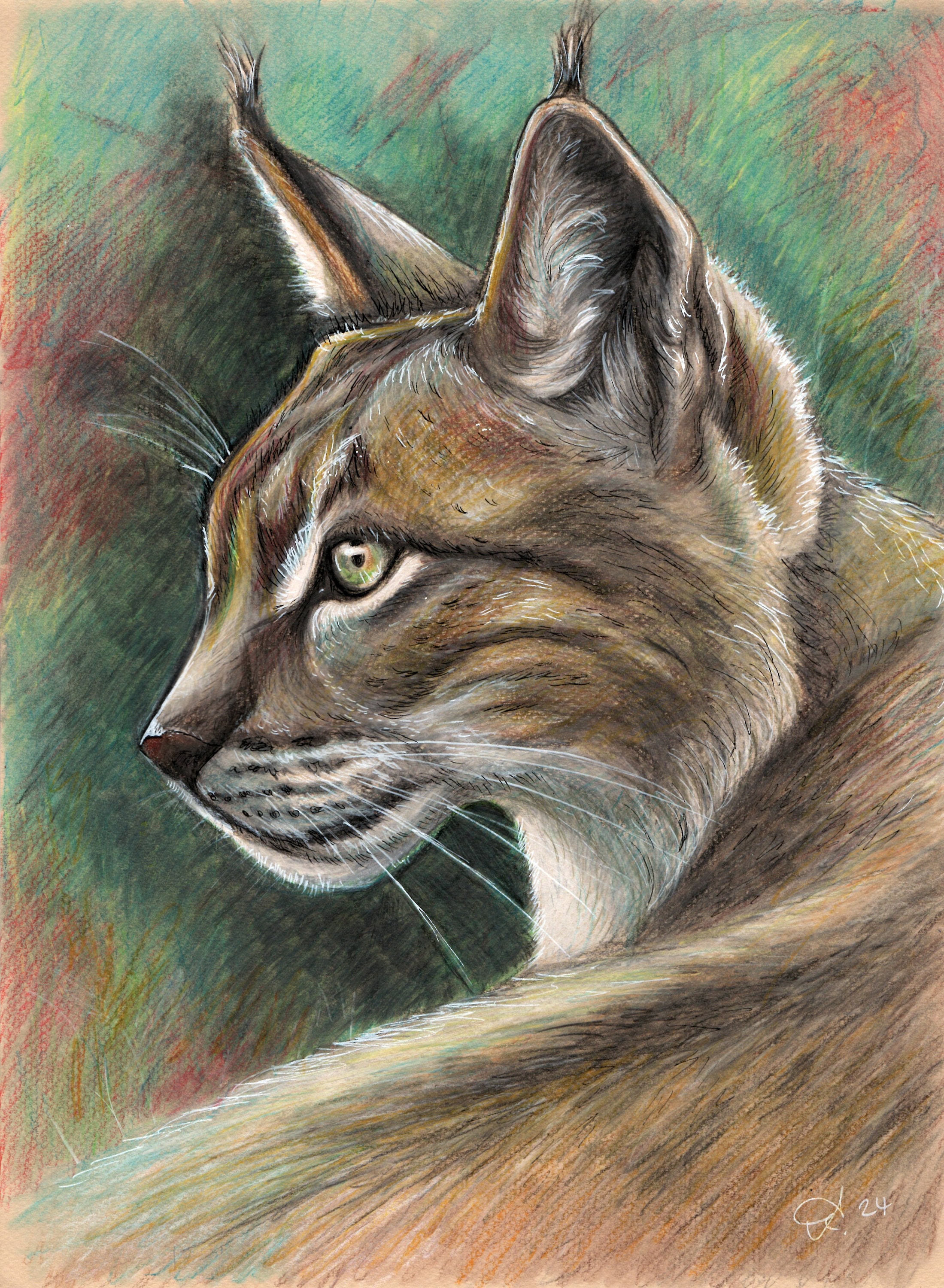 Lynx A3 Pencil Drawing - Etsy